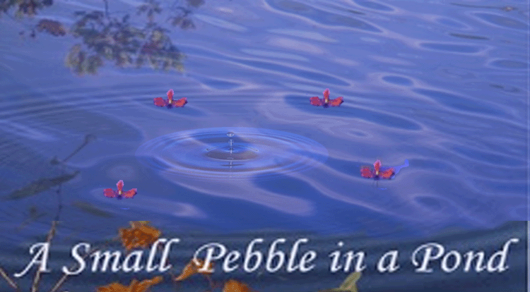 Share Thoughts from the OldMan 0f the Sea